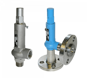 Pressure Relief Valve and Safety Relief Valve Protection - integral ...